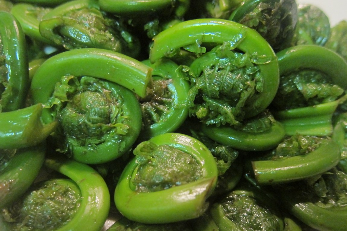 Sautéed Fiddlehead Ferns | food comas