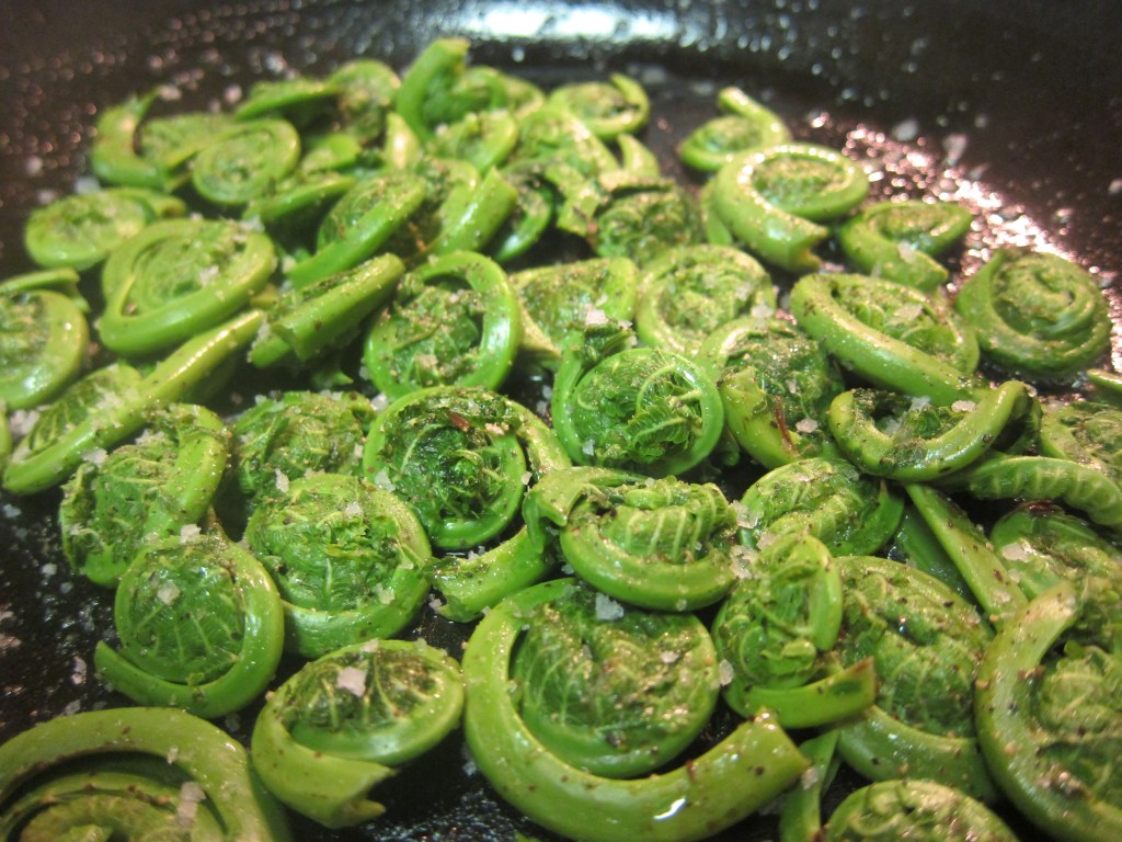 Sautéed Fiddlehead Ferns | food comas