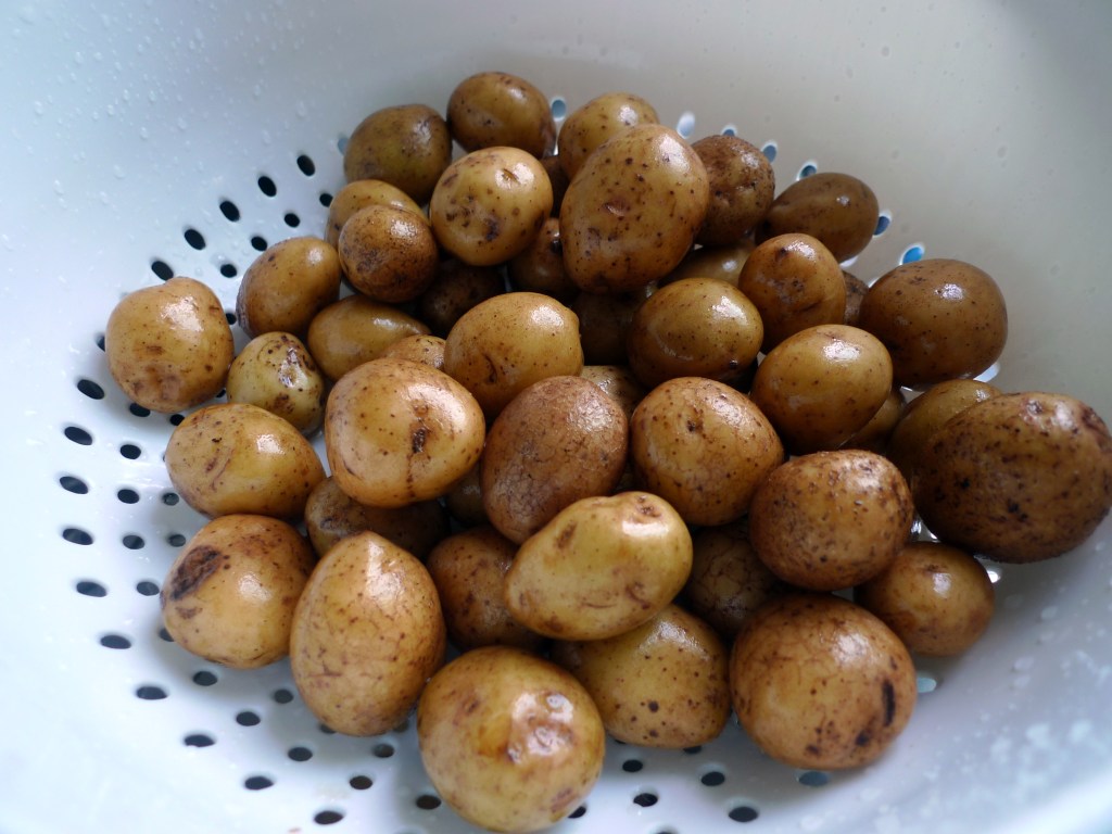Crisped Roasted Mini Potatoes | food comas